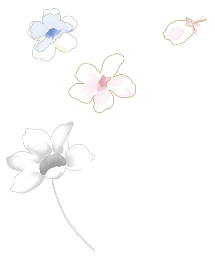 JILL STUART Crystal Bloom petal couture eyes duo Limited Items | NEW ...